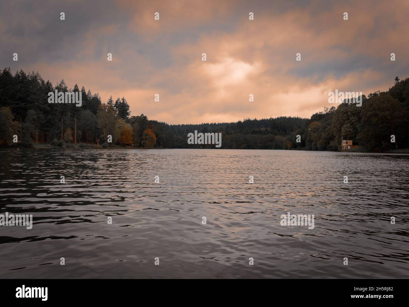 Autumn at Shearwater longleat Stock Photo - Alamy