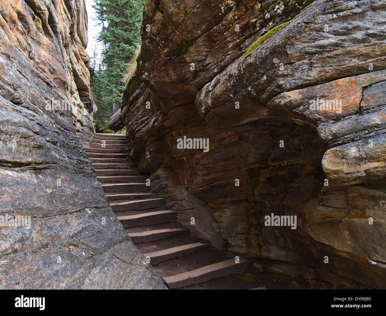 Wooden stairs leading through narrow gorge with colorful eroded rocks ...