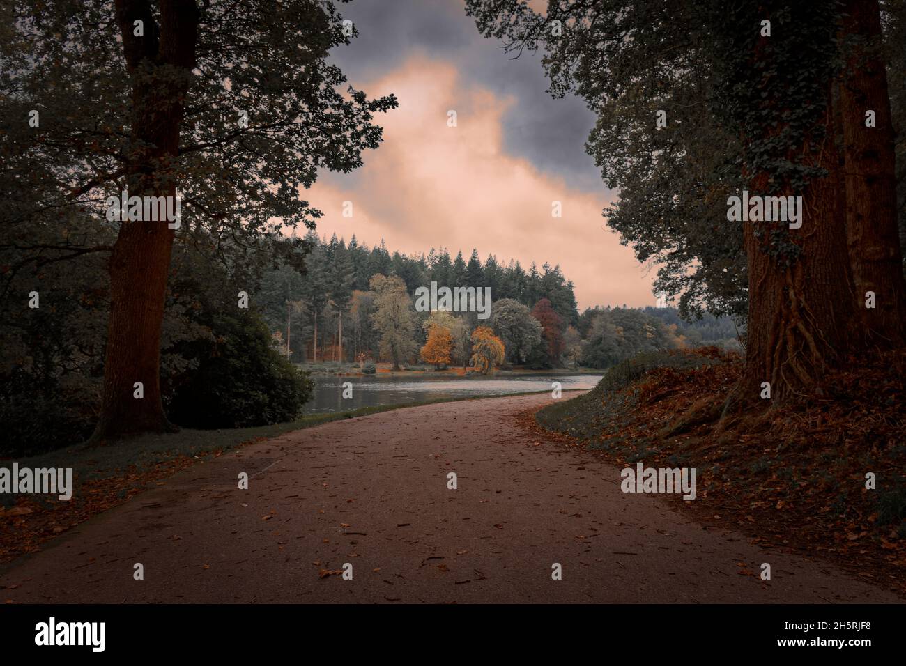 Autumn at Shearwater longleat Stock Photo - Alamy
