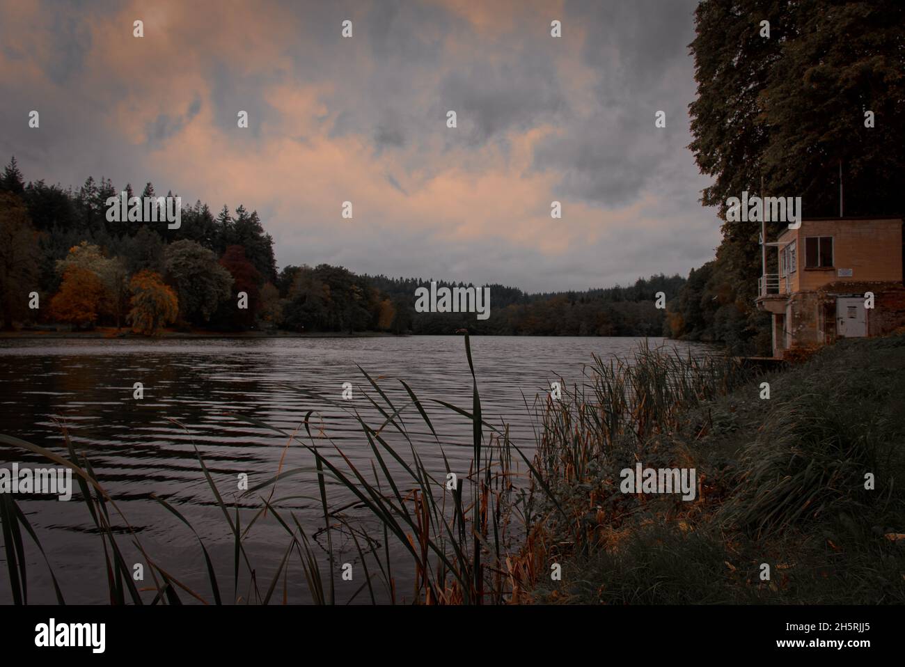 Autumn at Shearwater longleat Stock Photo - Alamy