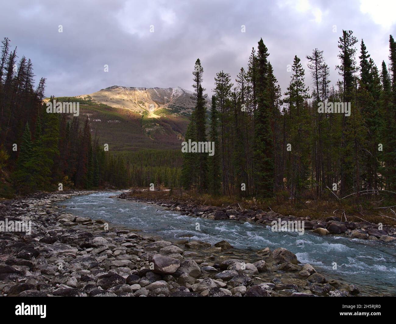 Beautiful view of Sunwapta River in Jasper National Park, Alberta ...
