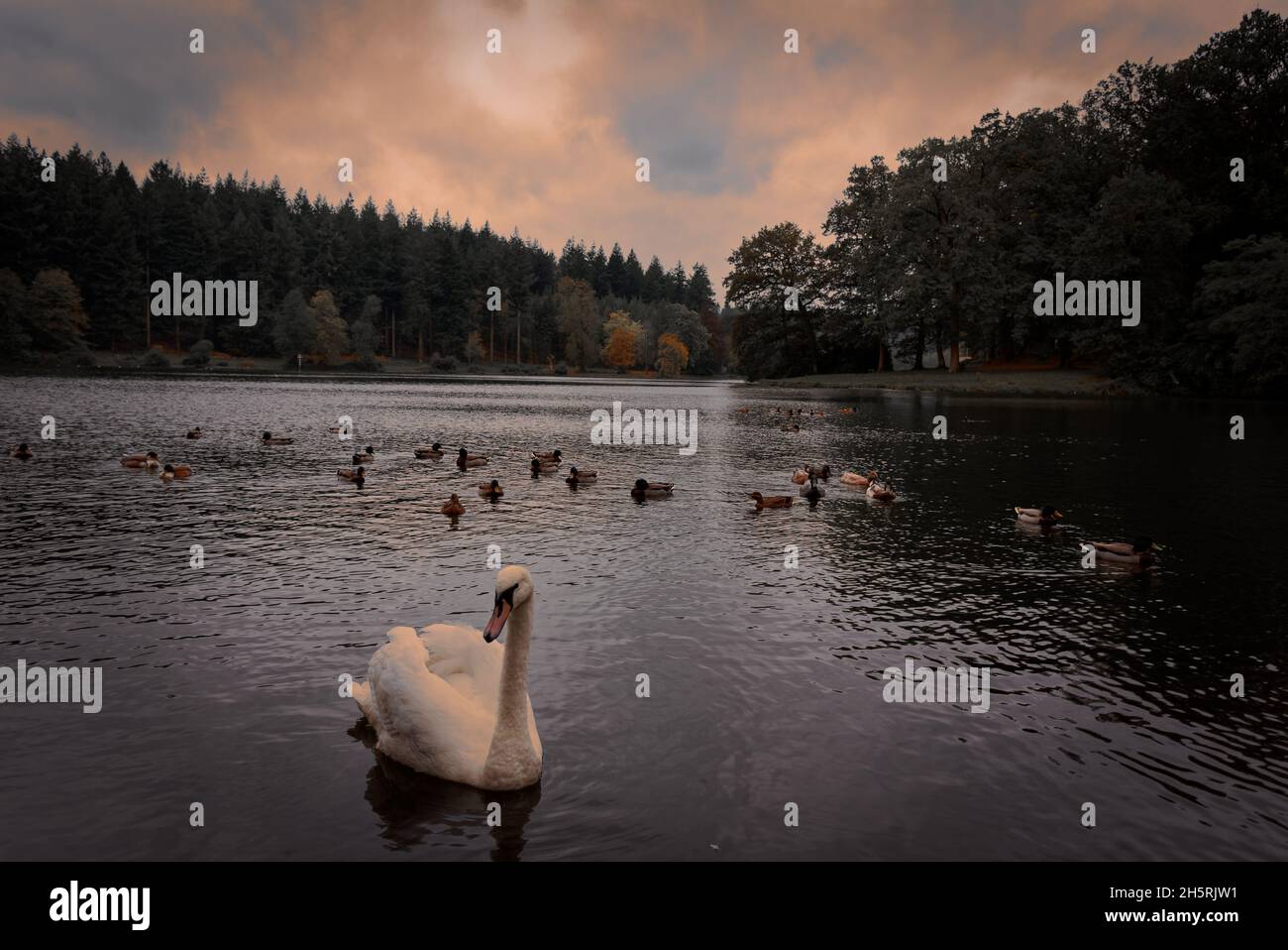 Fishing at shearwater lake hi-res stock photography and images - Alamy