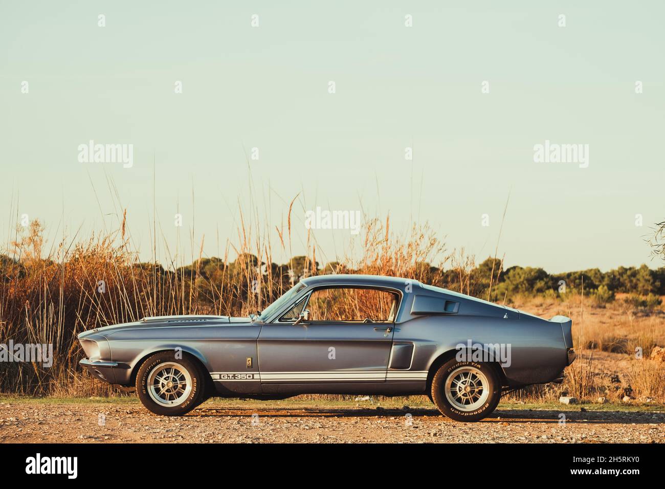 Shelby Gt500 1967 Side View