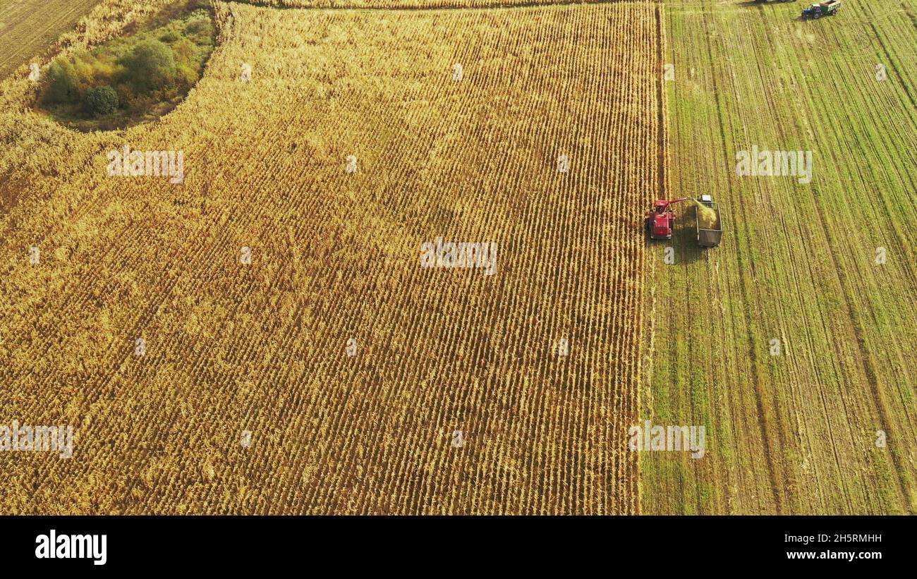 Aerial View Of Rural Landscape. Combine Harvester And Tractor Working ...