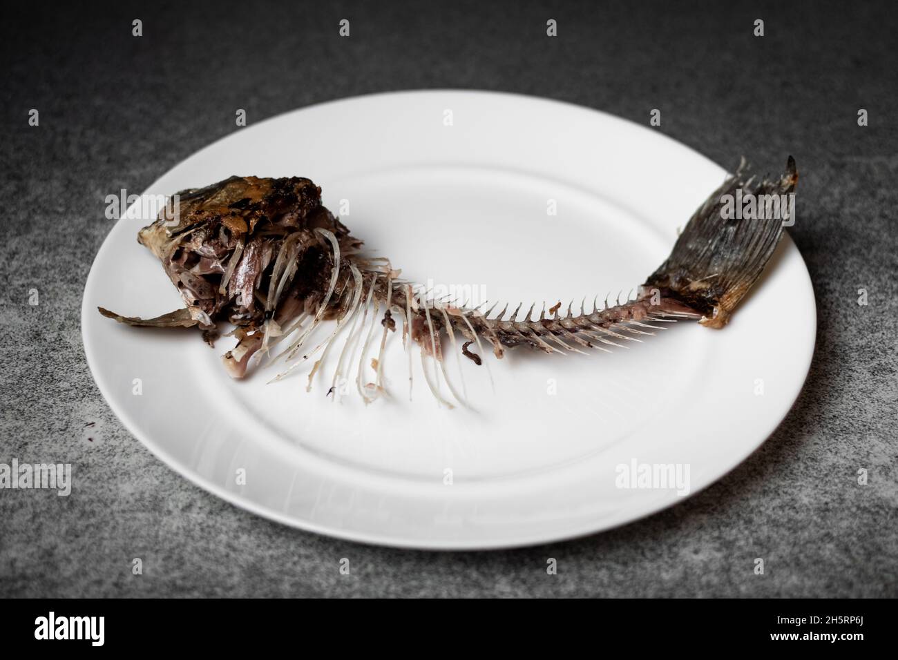 Fried fish skeleton, spine and bones on a white plate Stock Photo - Alamy