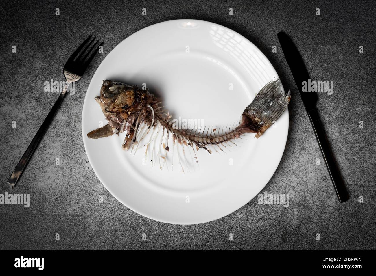 Fish head and body bones hi-res stock photography and images - Alamy