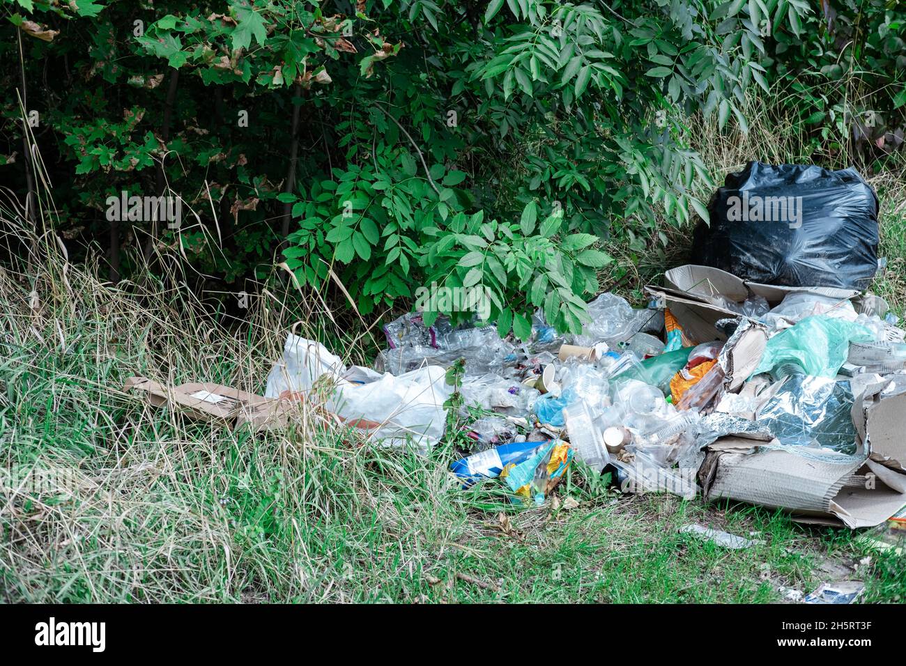Trash under tree hi-res stock photography and images - Alamy