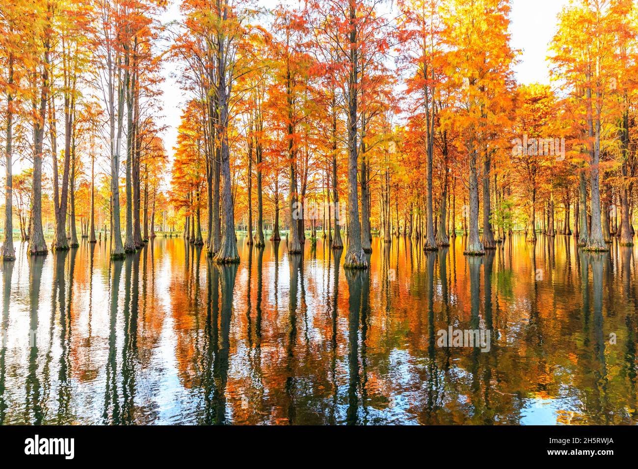 Colorful park hi-res stock photography and images - Alamy