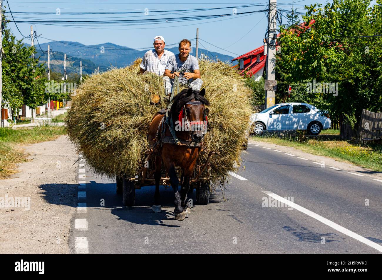 Harvest carriage hi-res stock photography and images - Alamy