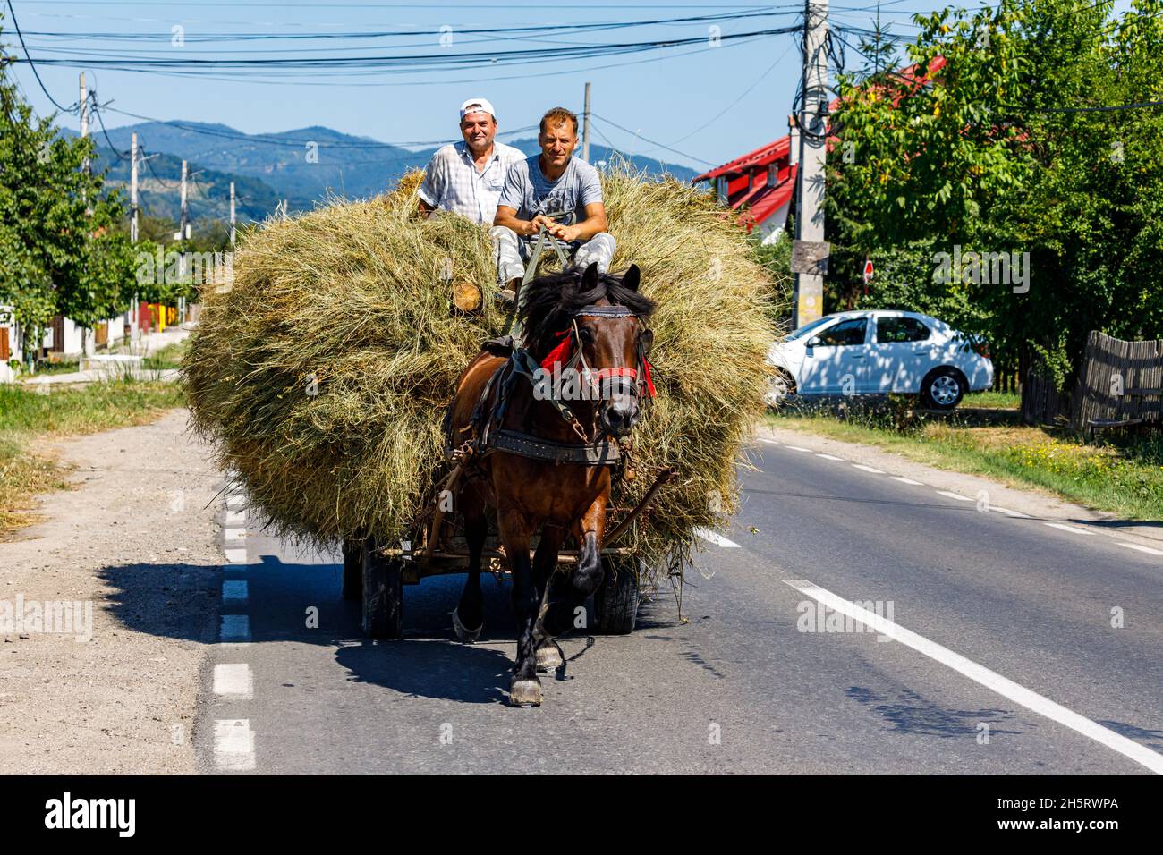 Farmer at hay harvest with horse carriage in Romania Stock Photo - Alamy