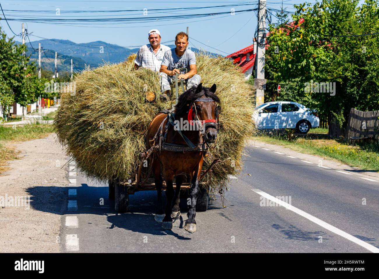 Farmer at hay harvest with horse carriage in Romania Stock Photo - Alamy