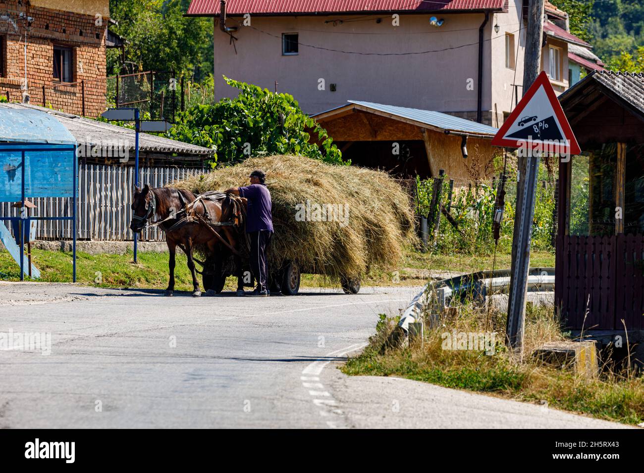 Farmer at hay harvest with horse carriage in Romania Stock Photo - Alamy