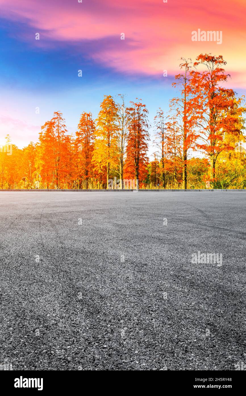 Circuit garden hi-res stock photography and images - Alamy