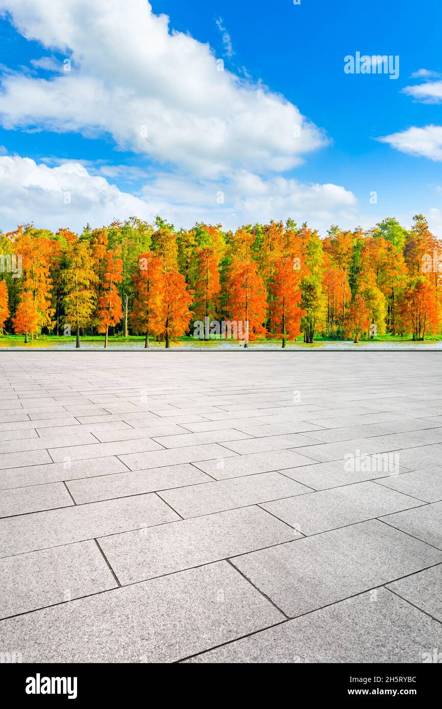 Empty square floor and colorful forest natural landscape in autumn ...