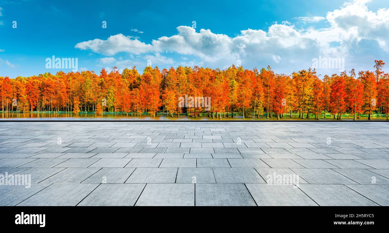 Empty square floor and colorful forest natural landscape in autumn ...
