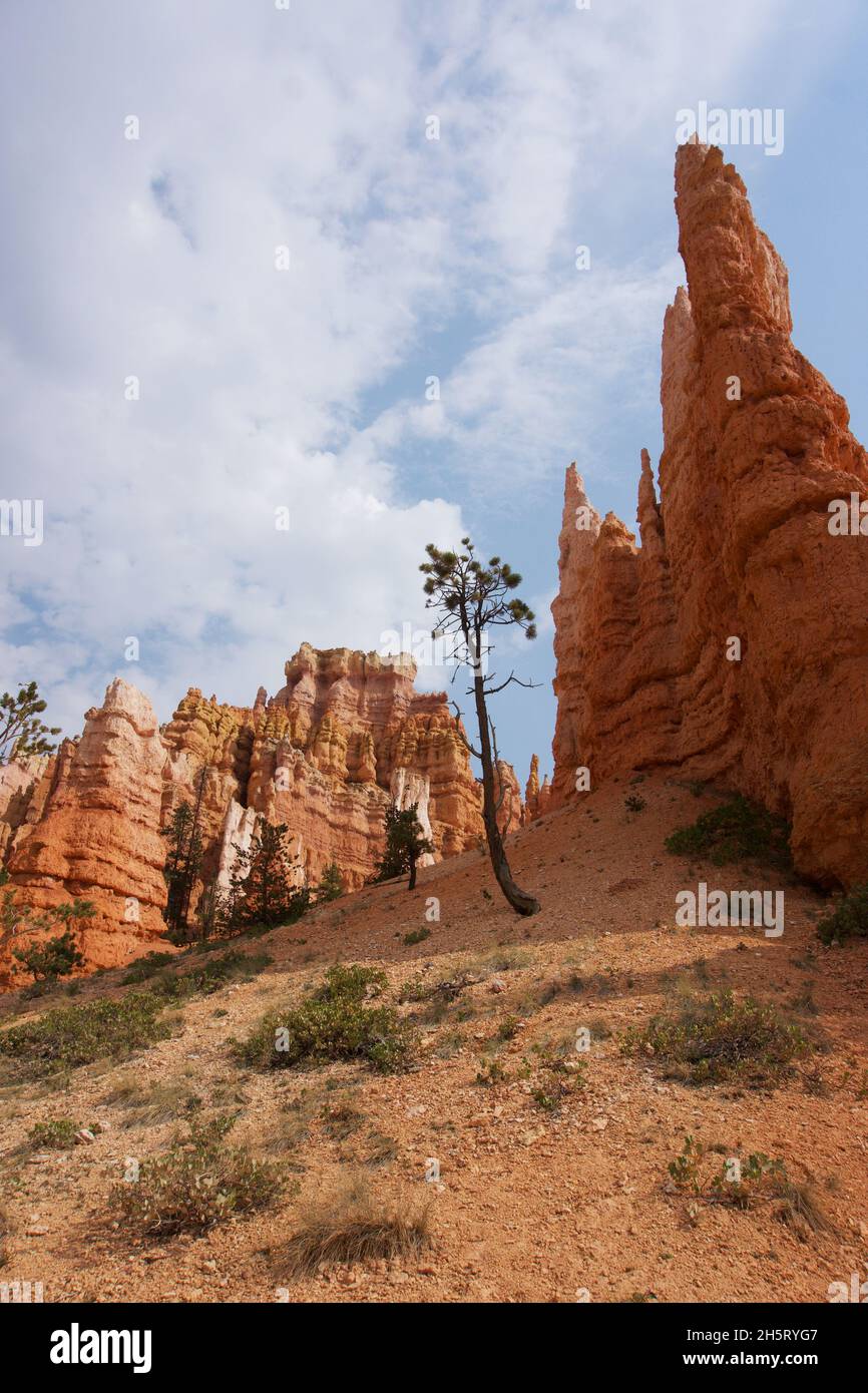 Different shape rocks hi-res stock photography and images - Alamy