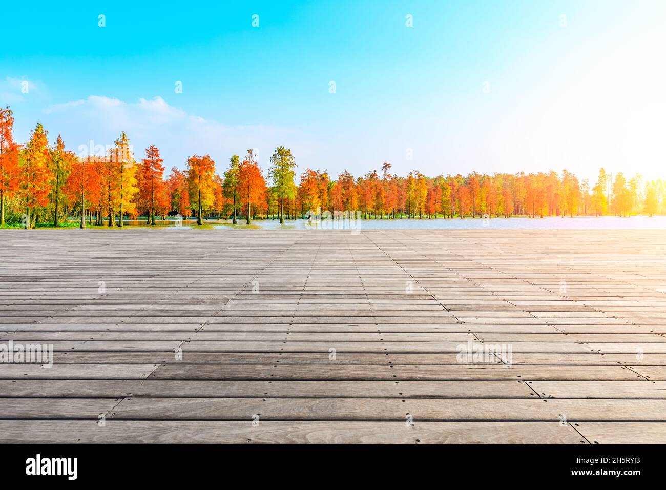 Wooden square and colorful forest natural landscape in autumn season ...