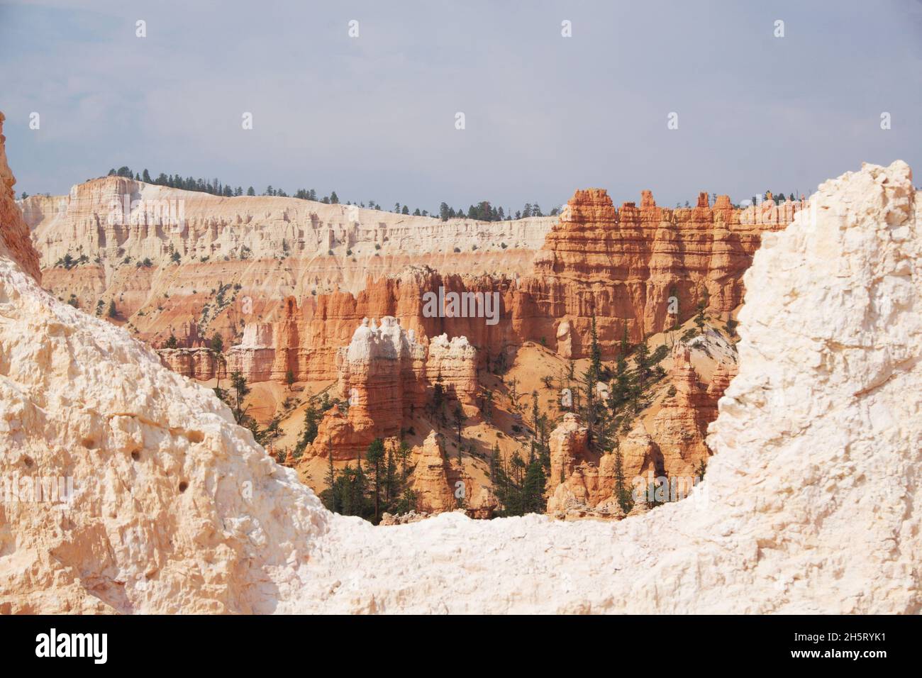 Shapes and Colours of rocks in Bryce Canyon USA Stock Photo - Alamy