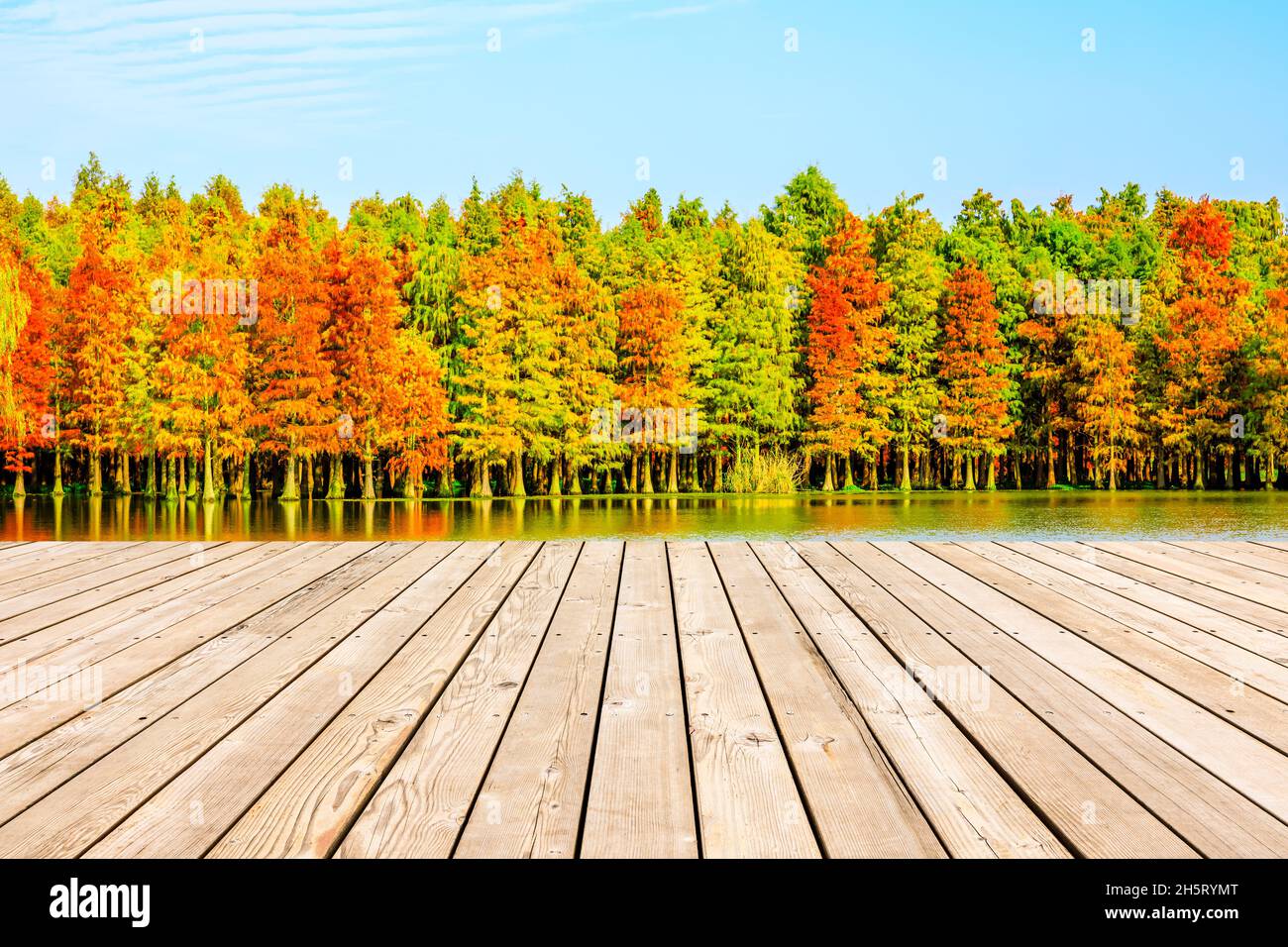 Wooden square and colorful forest natural landscape in autumn season ...