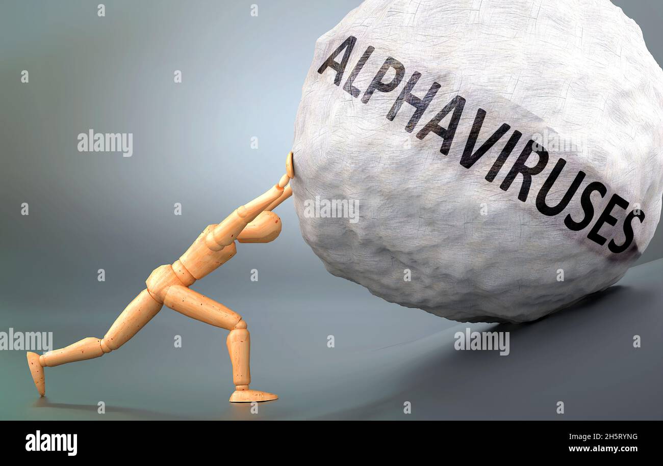 Alphaviruses hi-res stock photography and images - Alamy