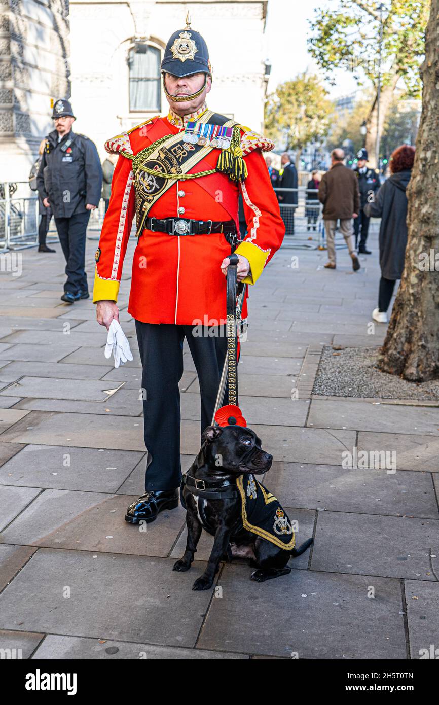 WHITEHALL LONDON, UK. 11 Nov, 2021. A guardsman from the Staffordshire ...