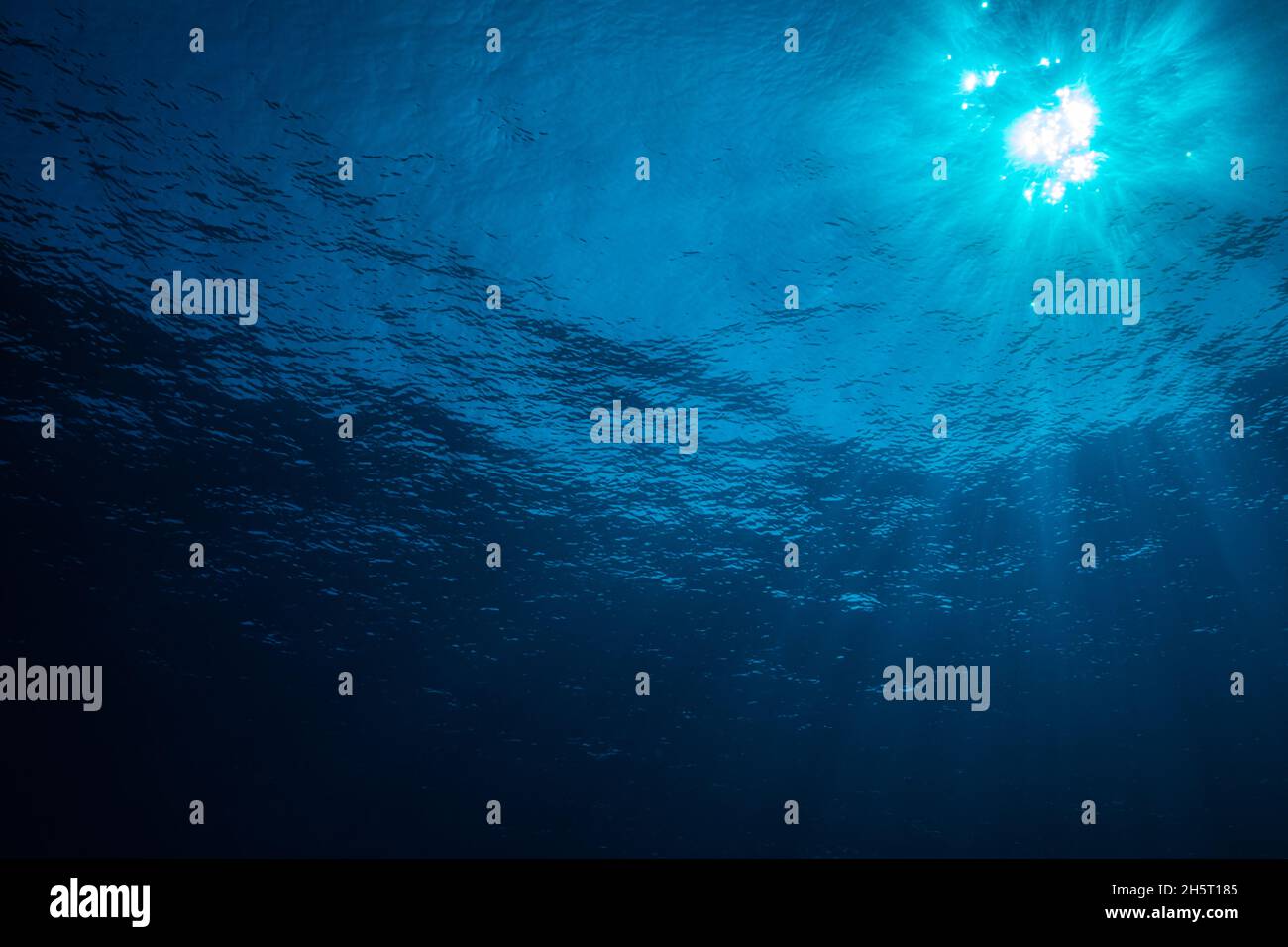 Beautiful sun with sunrays from deep of blue ocean looks majestic Stock ...