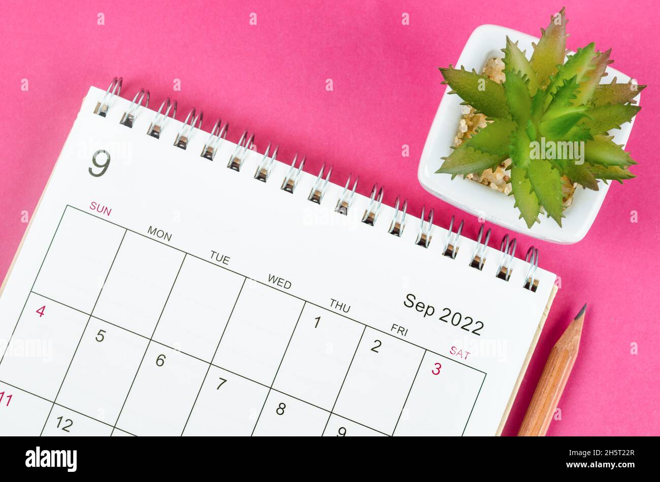 The September 2022 desk calendar with pencil on pink background Stock ...