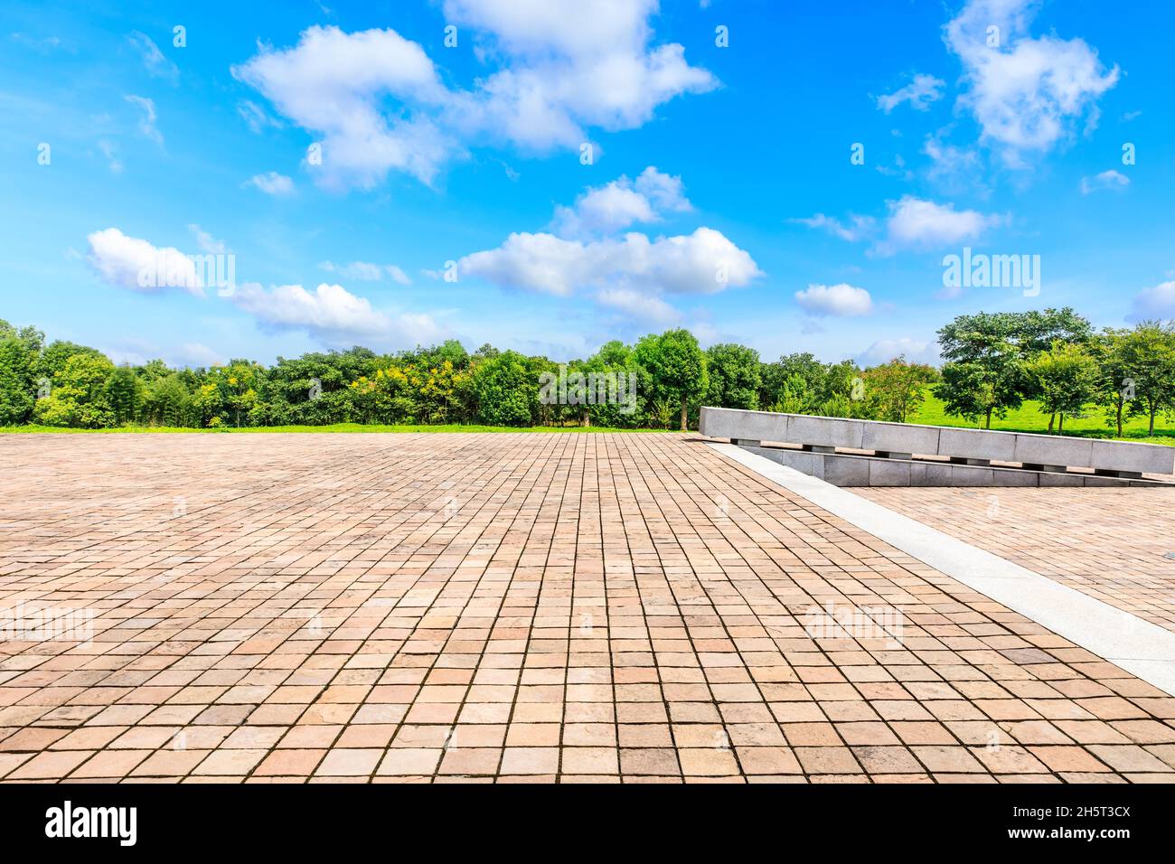 Empty square floor and green forest background Stock Photo - Alamy