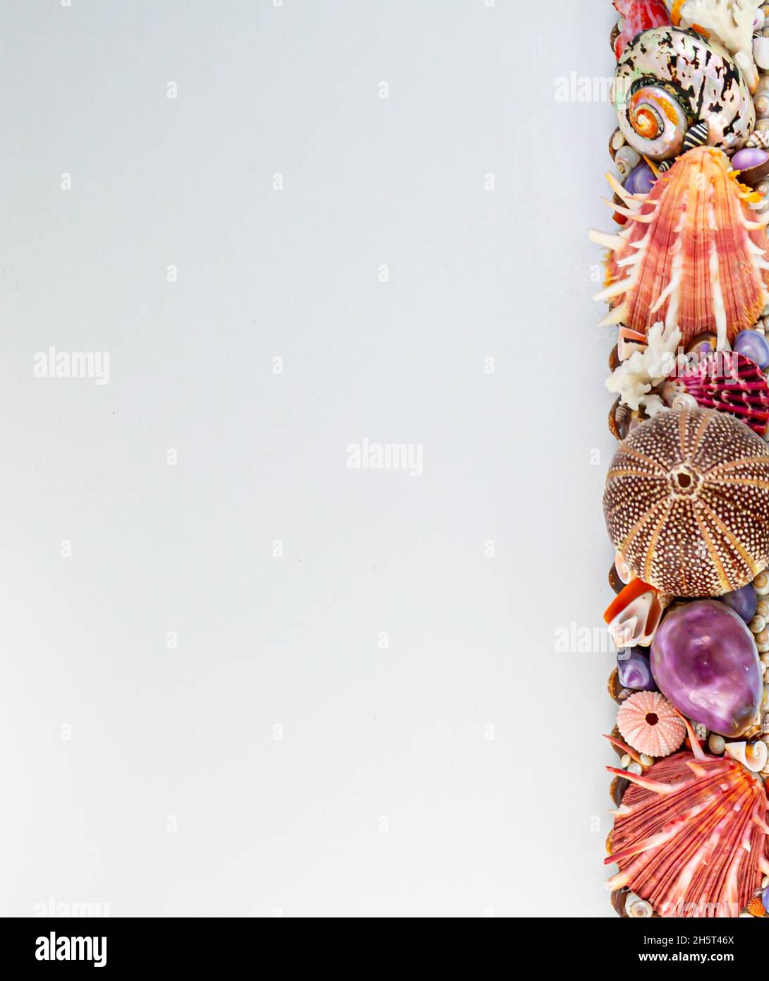 Invitation border hi-res stock photography and images - Alamy