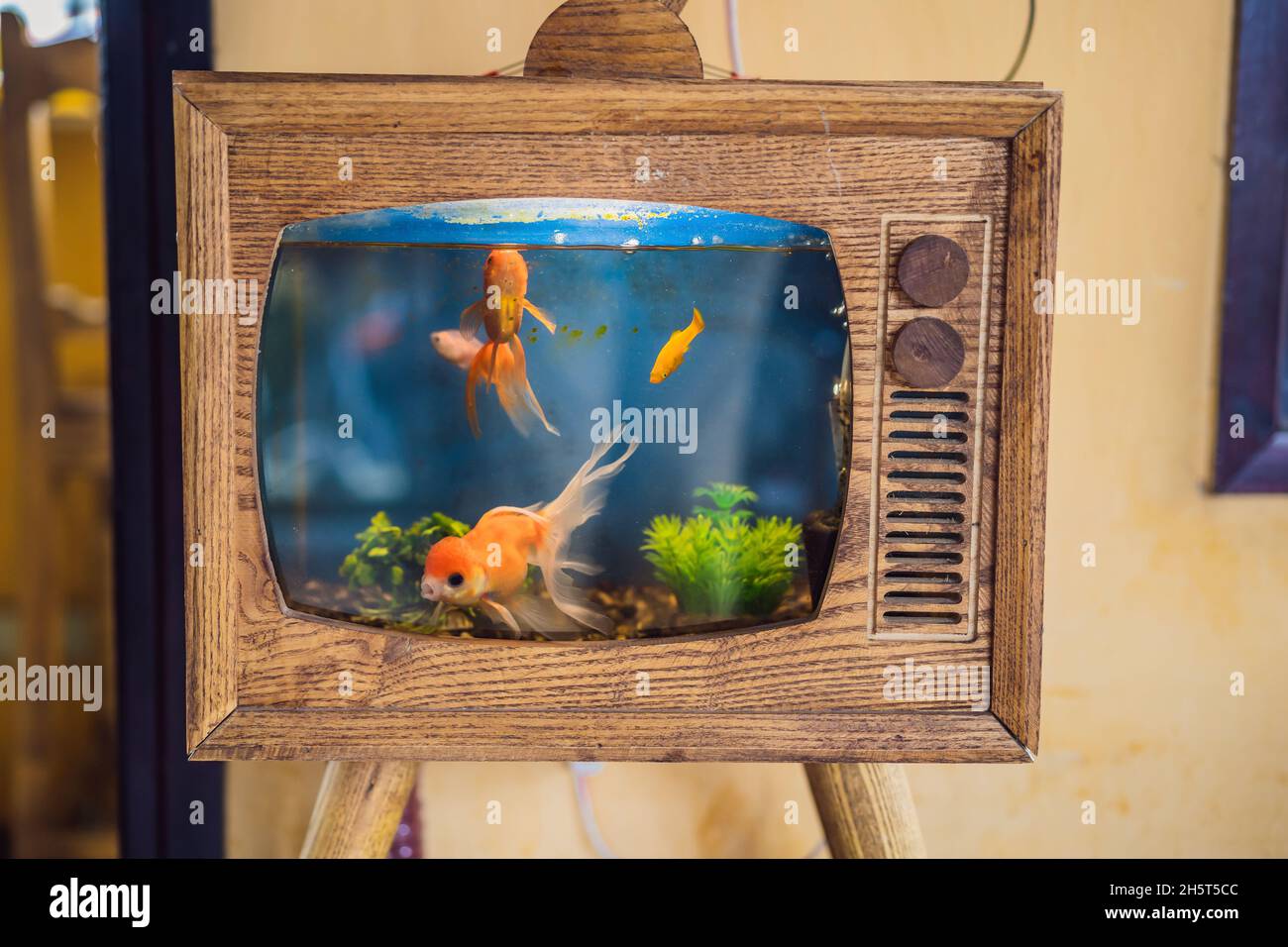 Deep aquarium at night hi-res stock photography and images - Alamy