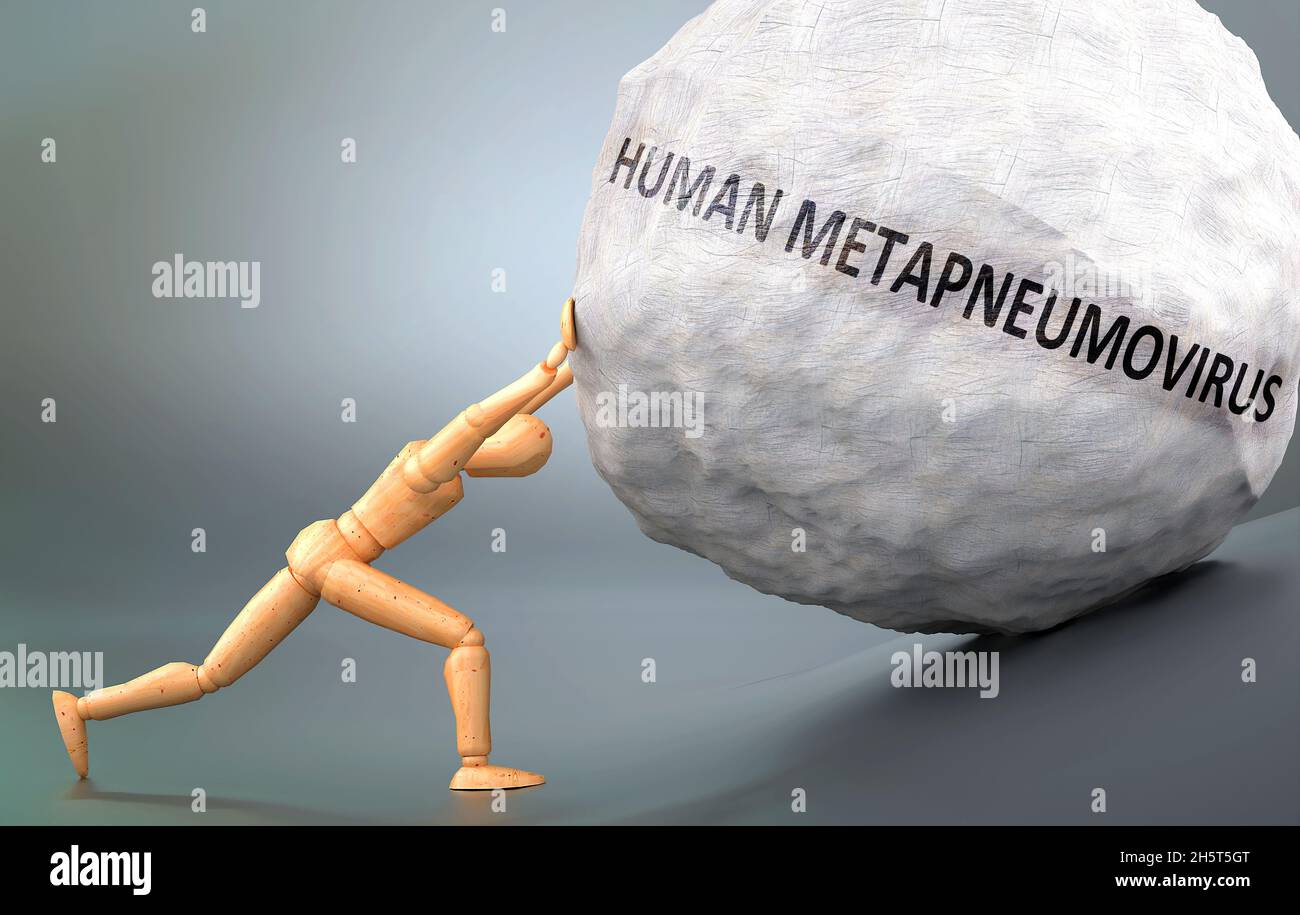 Depiction of Human metapneumovirus shown a wooden model pushing heavy ...