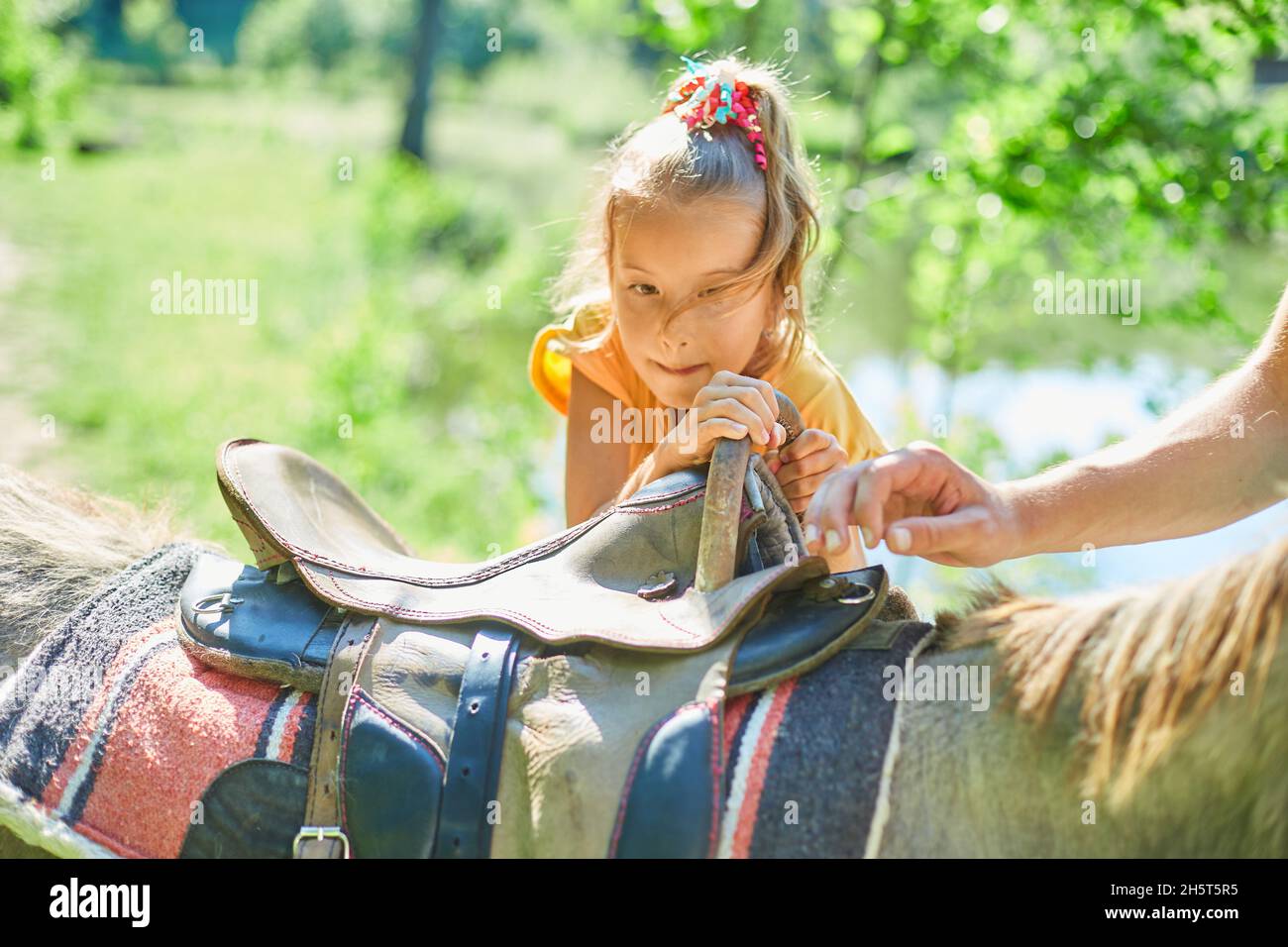 Little girl in the saddle riding on a donkey, in contact farm zoo ...
