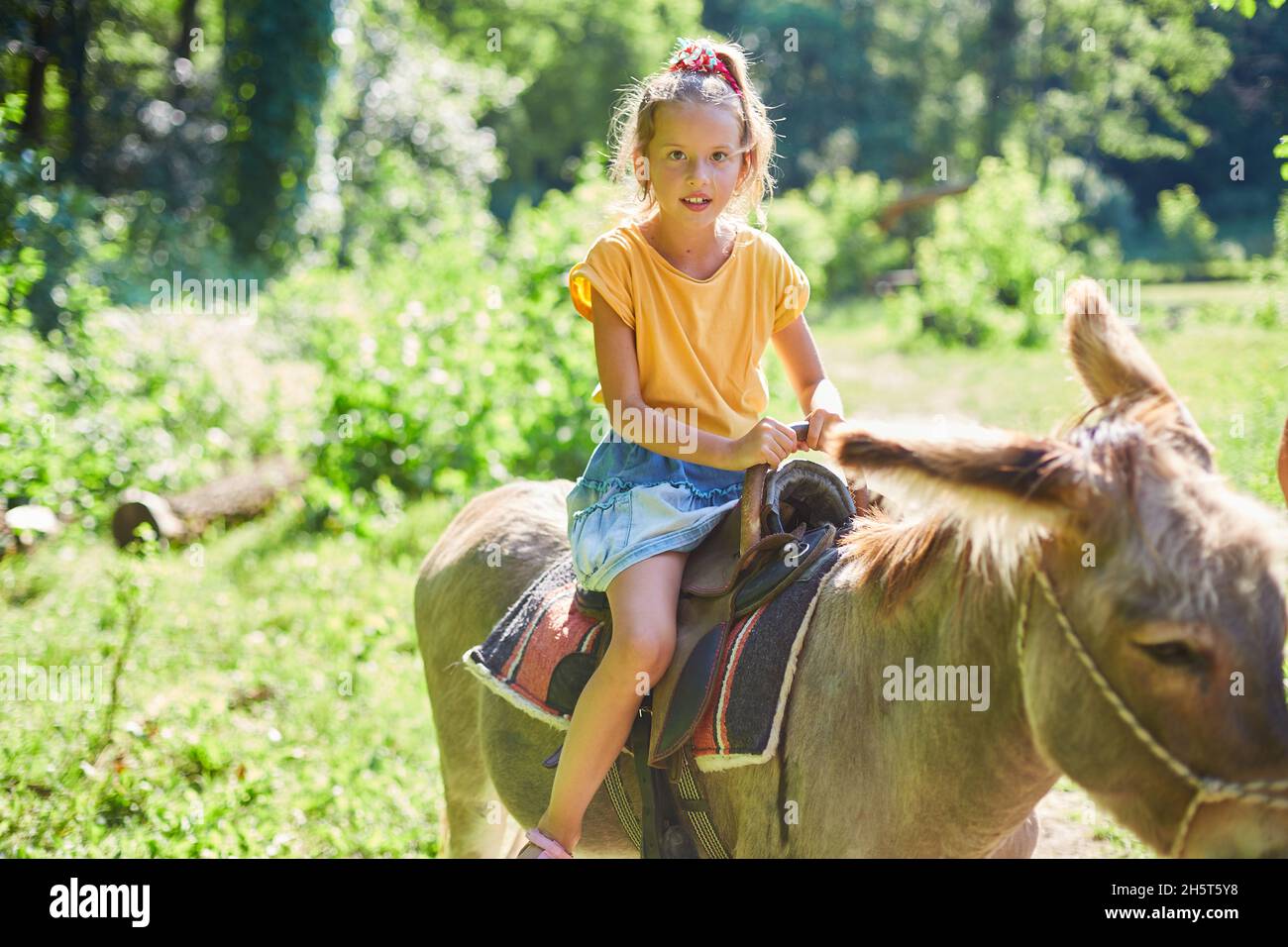 Little girl in the saddle riding on a donkey, in contact farm zoo ...