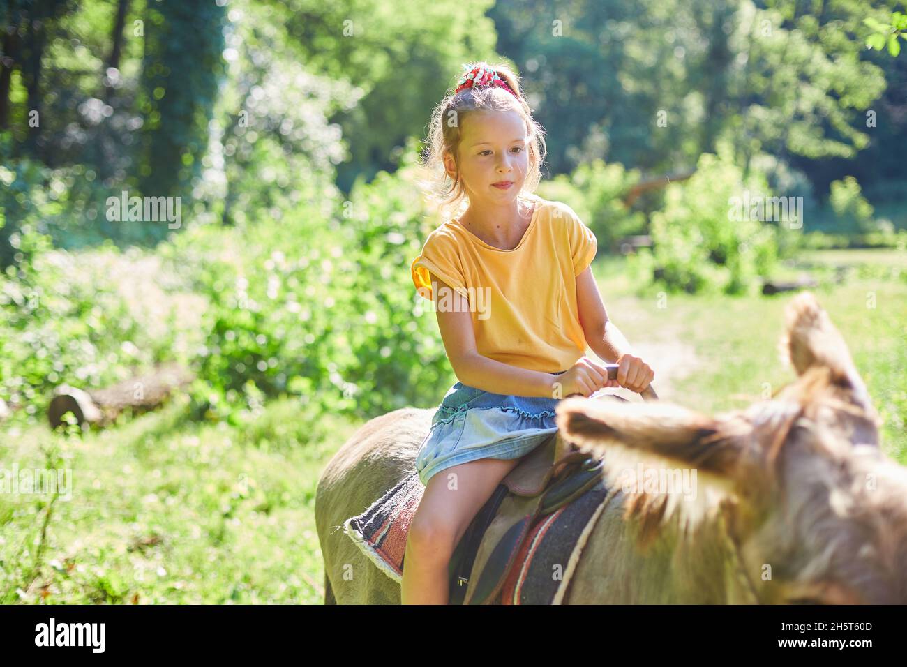 Little girl in the saddle riding on a donkey, in contact farm zoo ...