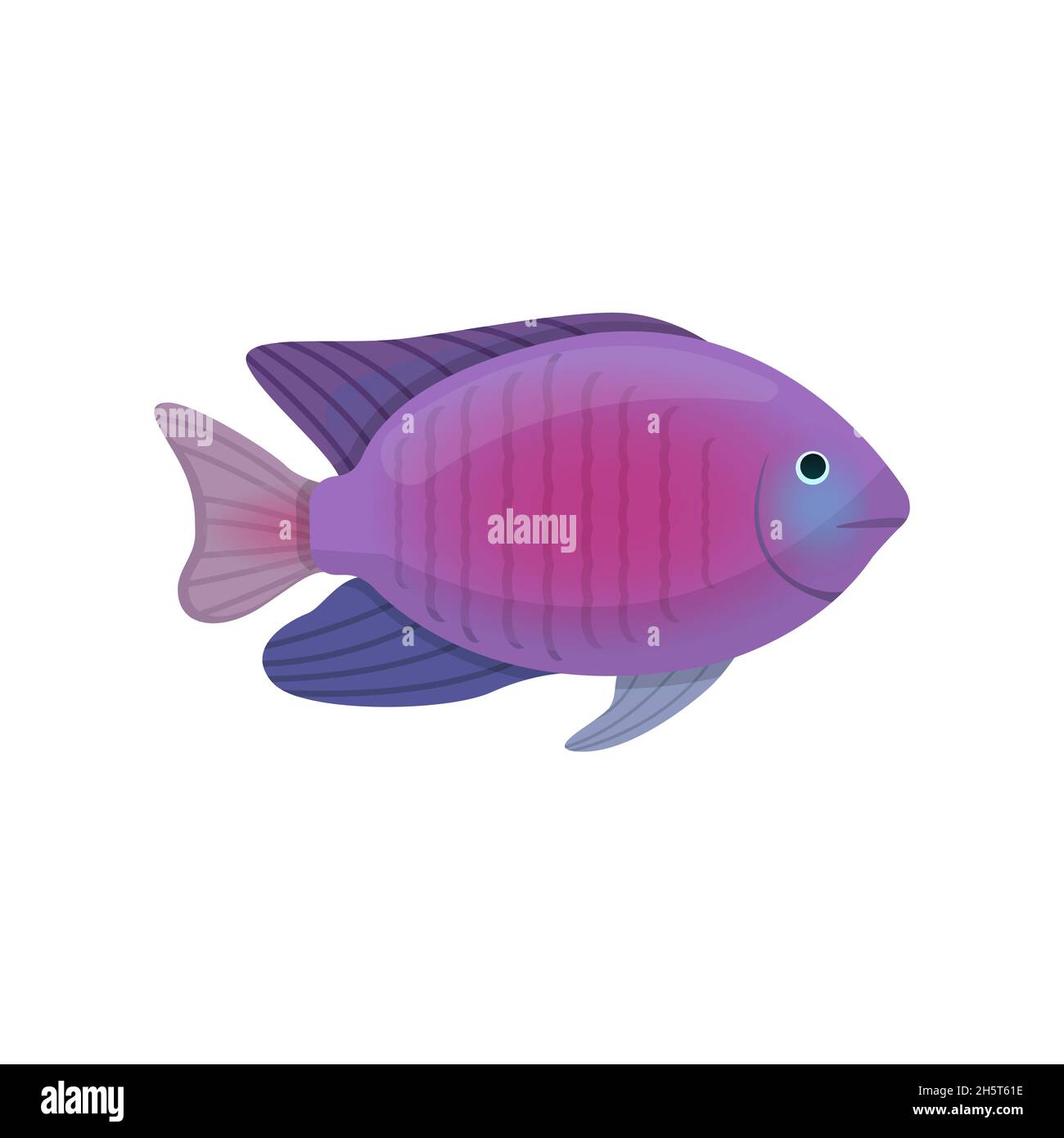 Fish in cartoon style Stock Vector Image & Art - Alamy