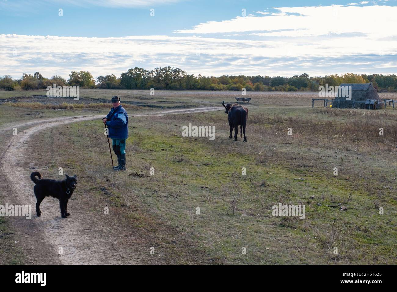 Hortobagy national park hi-res stock photography and images - Alamy
