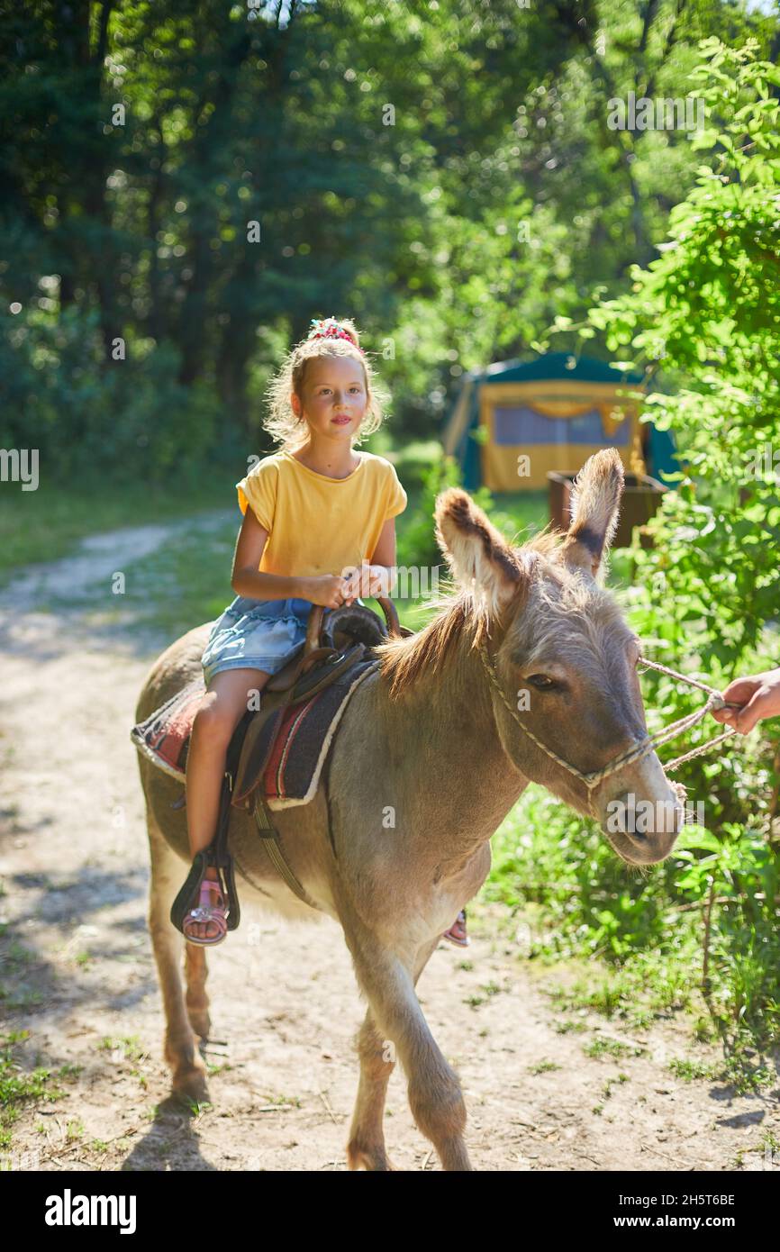 Little girl in the saddle riding on a donkey, in contact farm zoo ...