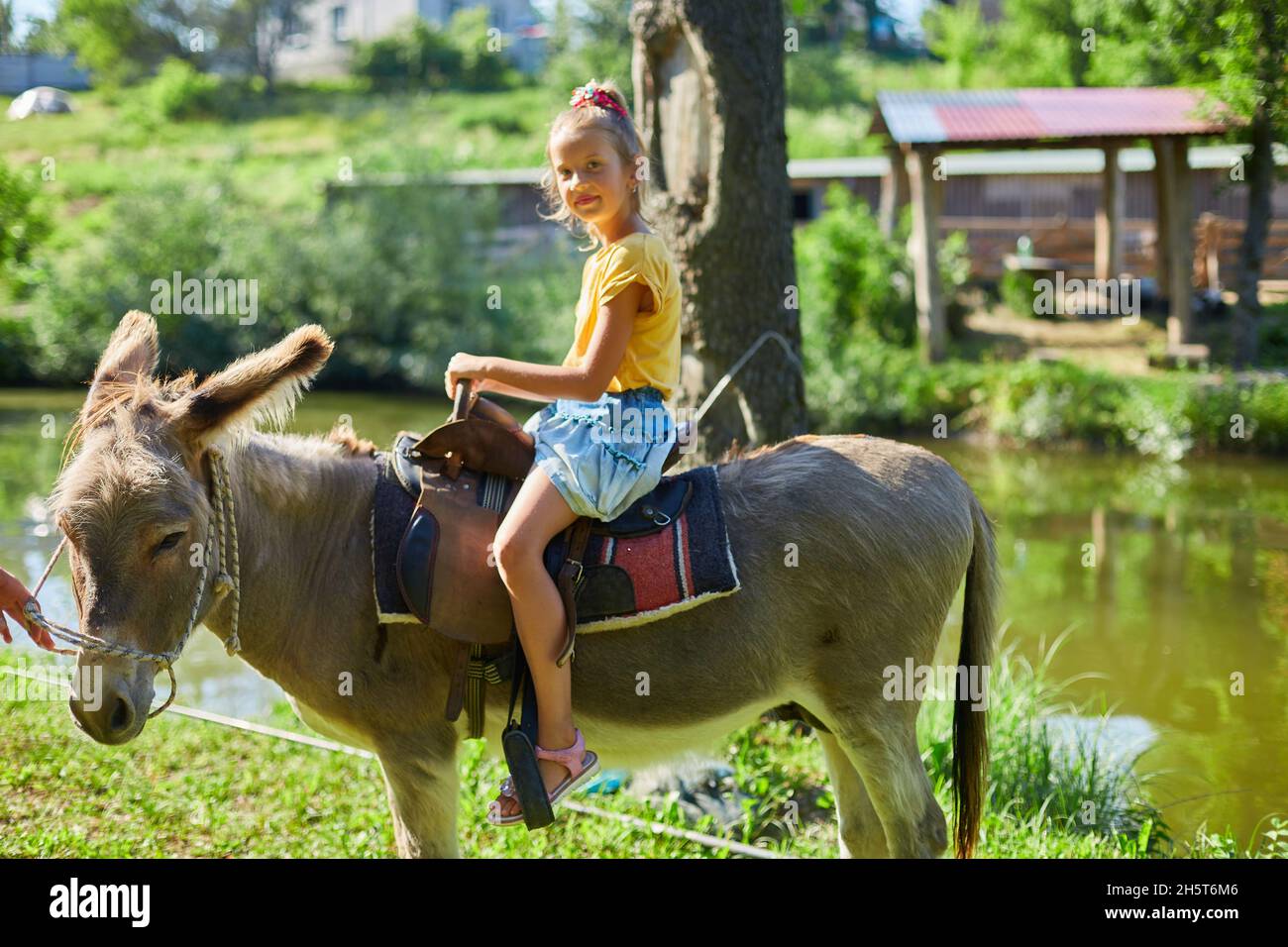Little girl in the saddle riding on a donkey, in contact farm zoo ...