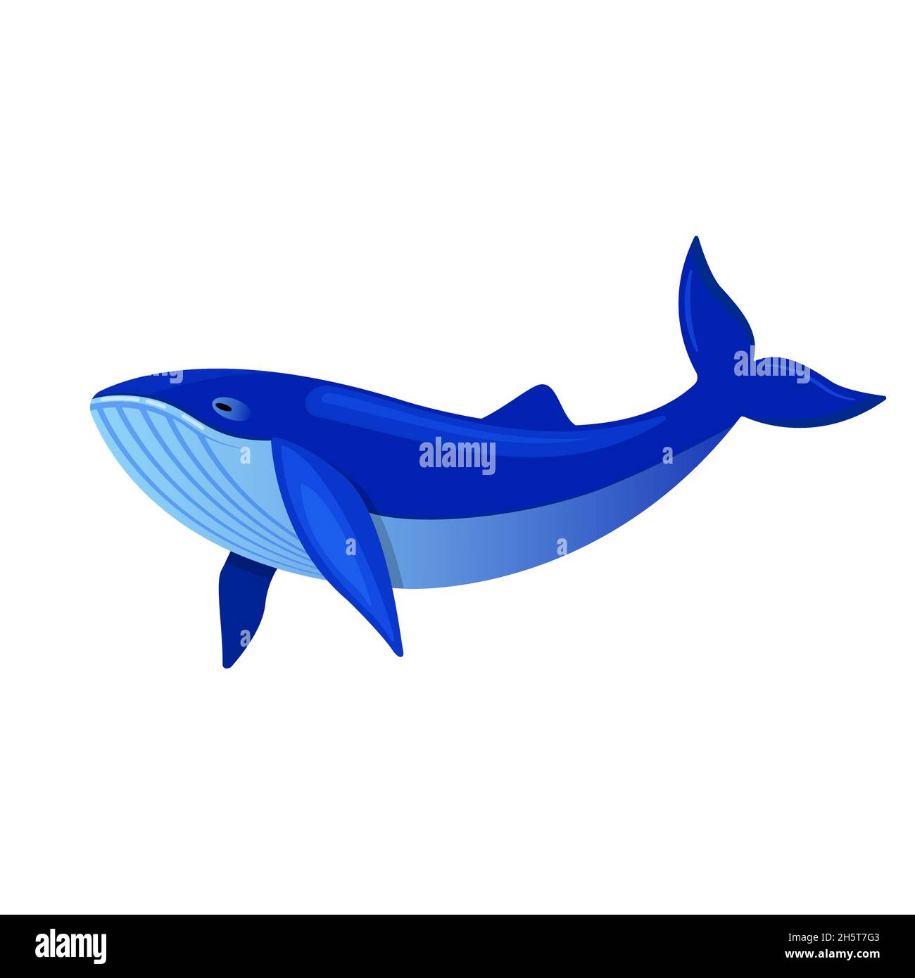 Whale in cartoon style Stock Vector Image & Art - Alamy