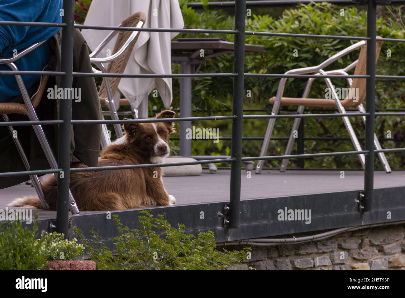 Cafe fenced hi-res stock photography and images - Alamy