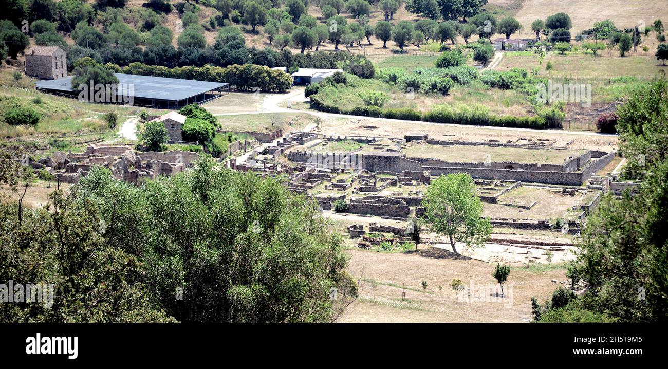 Velia hi-res stock photography and images - Alamy