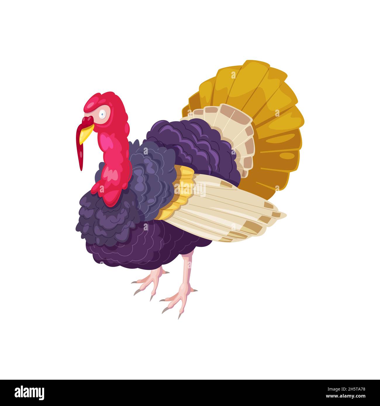 Turkey bird Stock Vector Images - Alamy