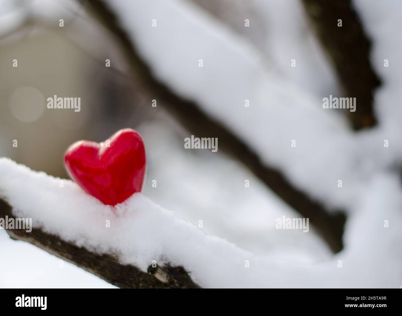 Broken heart tree hi-res stock photography and images - Alamy