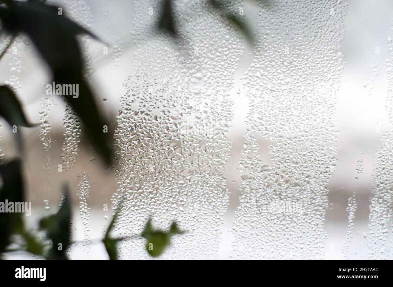 Condensation drops hi-res stock photography and images - Alamy