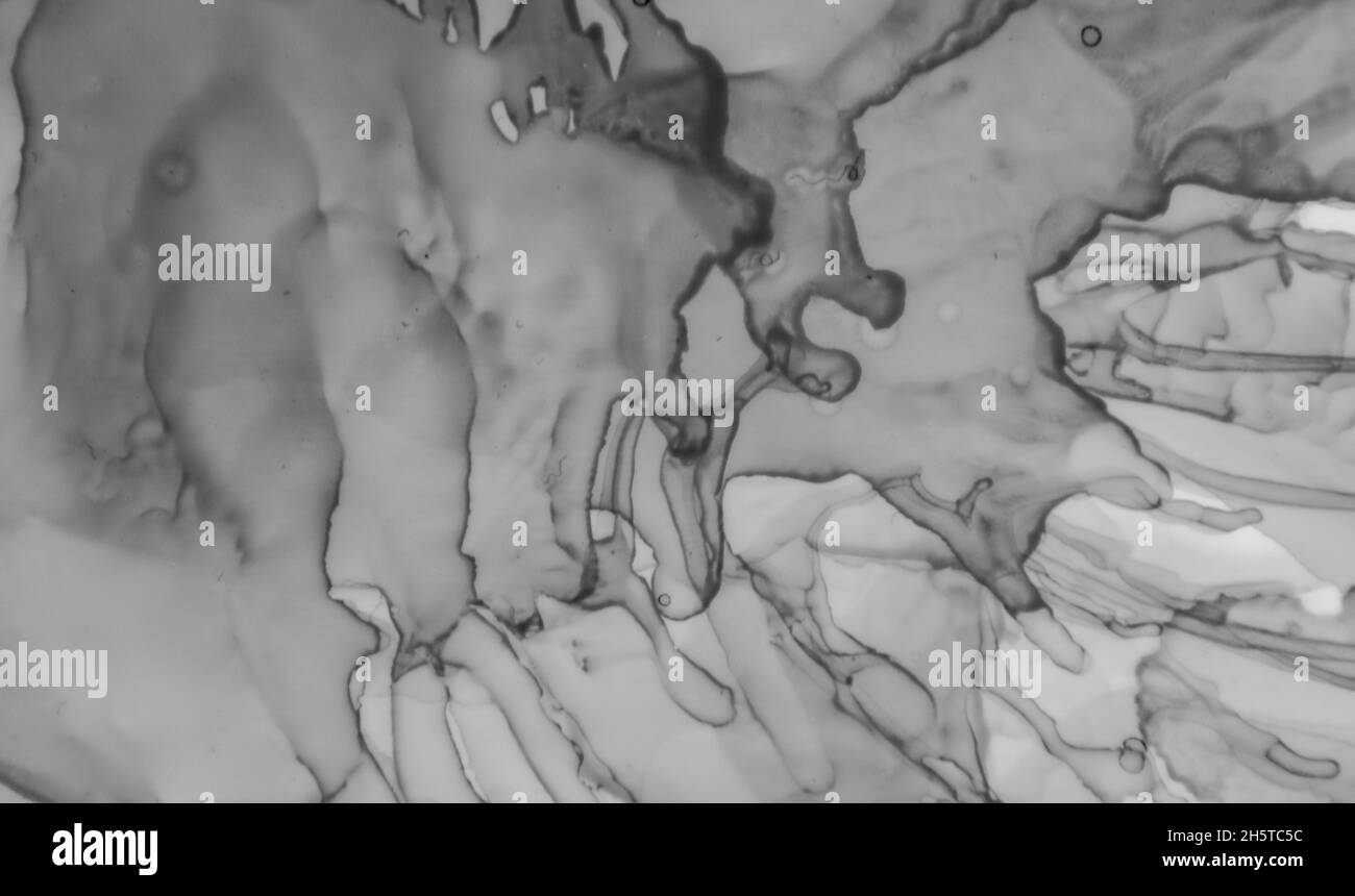 Natural white marble stone Black and White Stock Photos & Images - Alamy