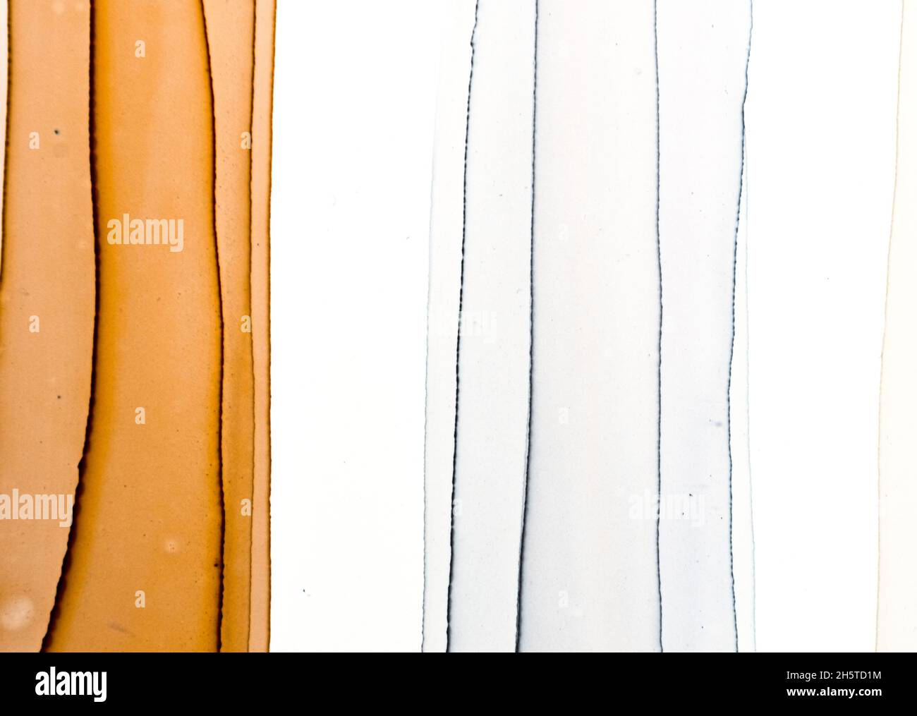 Orange Lines Pattern. Horizontal Stroke Ink Stock Photo - Alamy