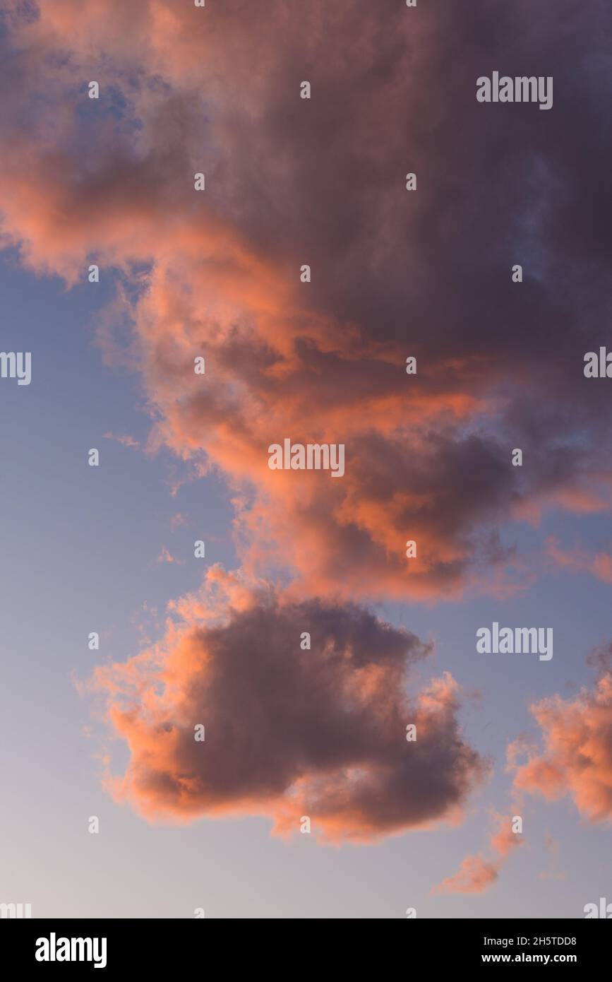 Vertical background of a blue sky and orange fluffy clouds during ...
