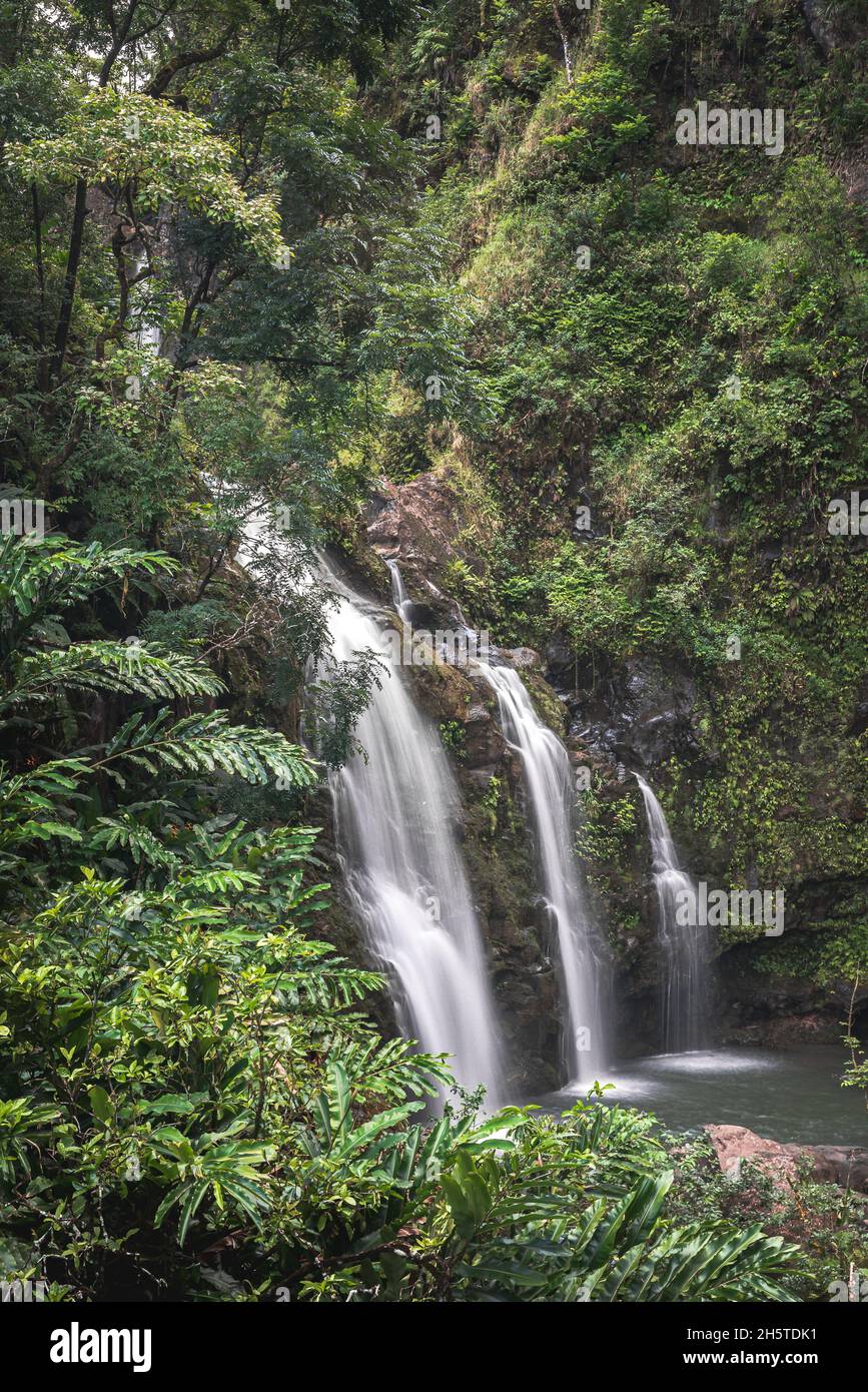 Beautiful foamy waterfall flowing into the rocky river in the forest ...