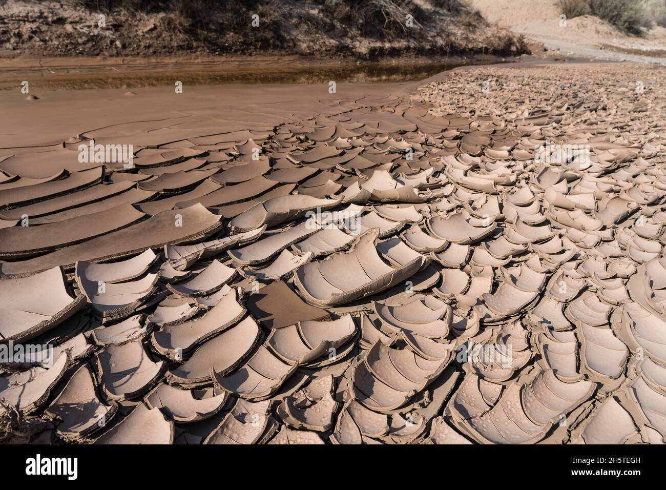 Cracked slabs of bentonite clay drying after a flashflood in a a ...