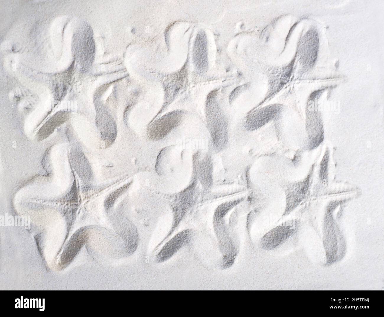 prints of a starfish on a sandy beach. sealife pattern as summer ...